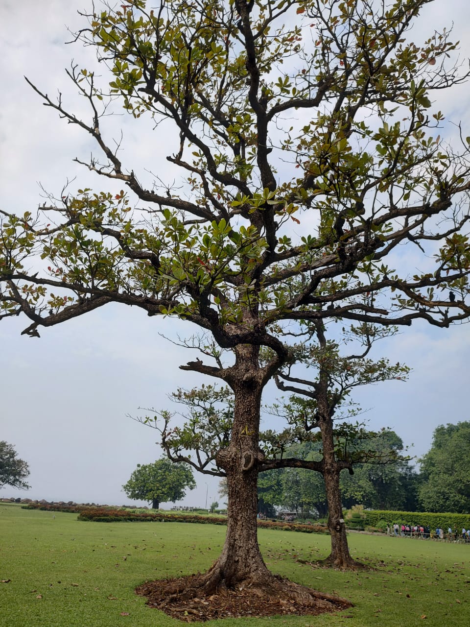 Students from PTV English Medium Secondary Section visit TIFR, Colaba ...